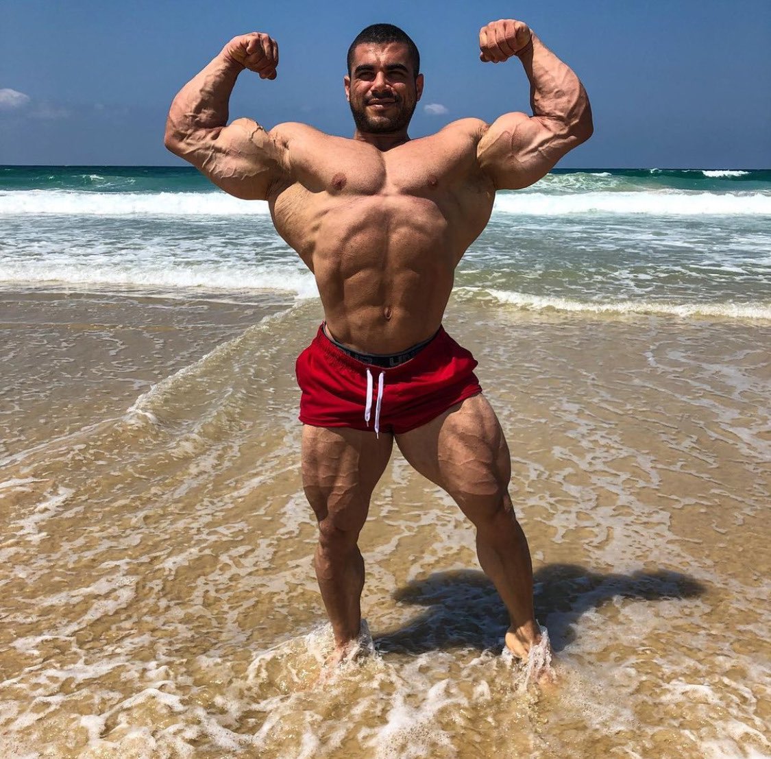 Graham Smith on Twitter: "Sahar Kazes"