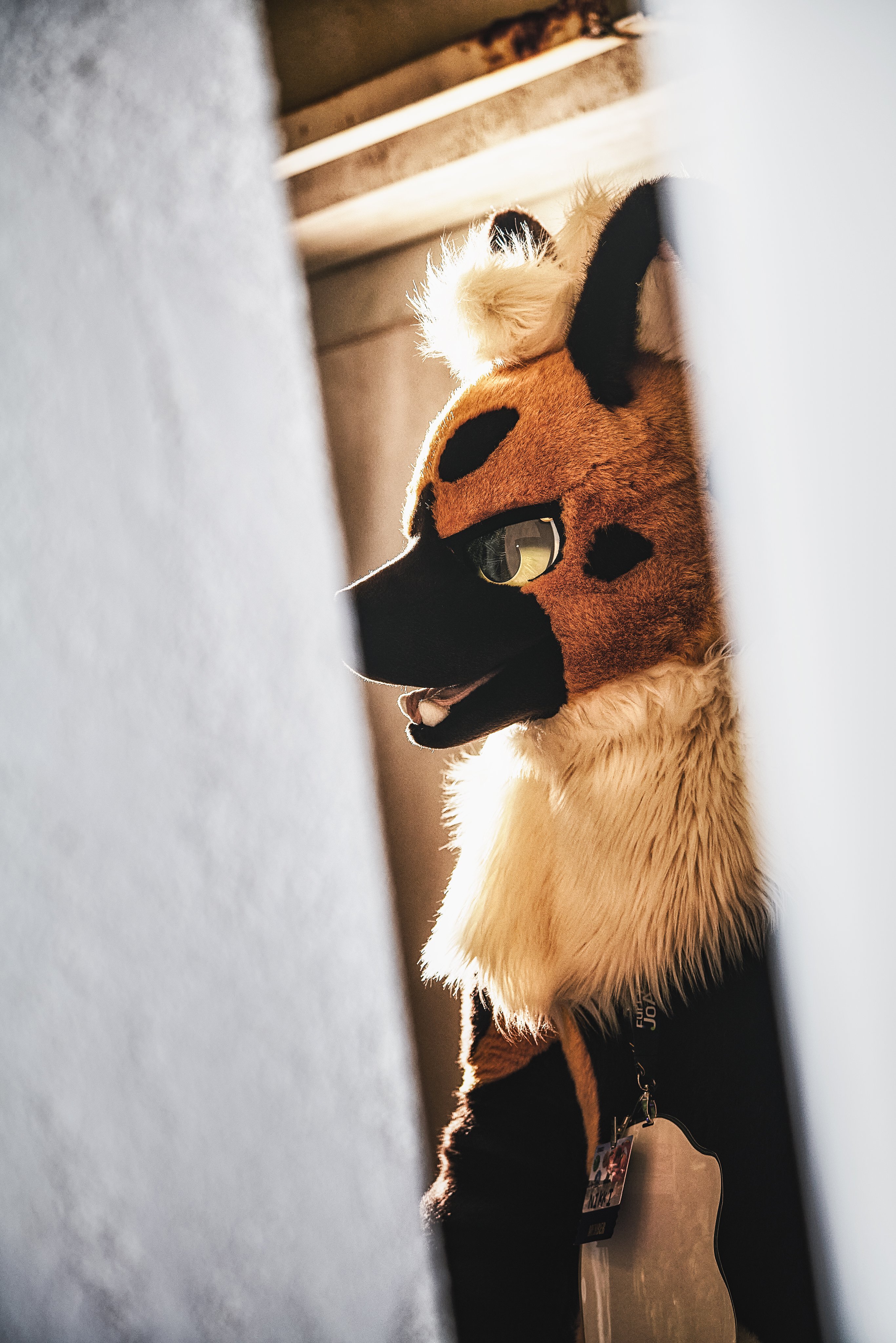 니키/ニッキ (@Nikki_hyena) / Twitter