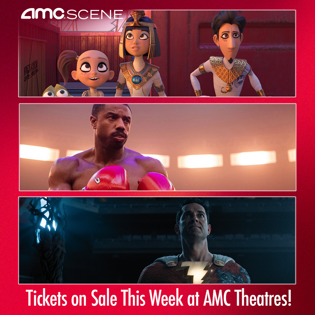 Amc Theatres 19