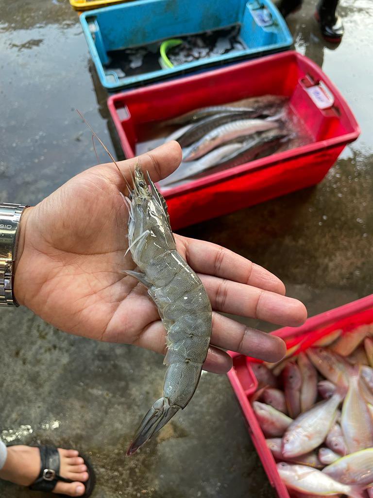 FoodPornMalaysia on Twitter: FoodPornMalaysia on Twitter: