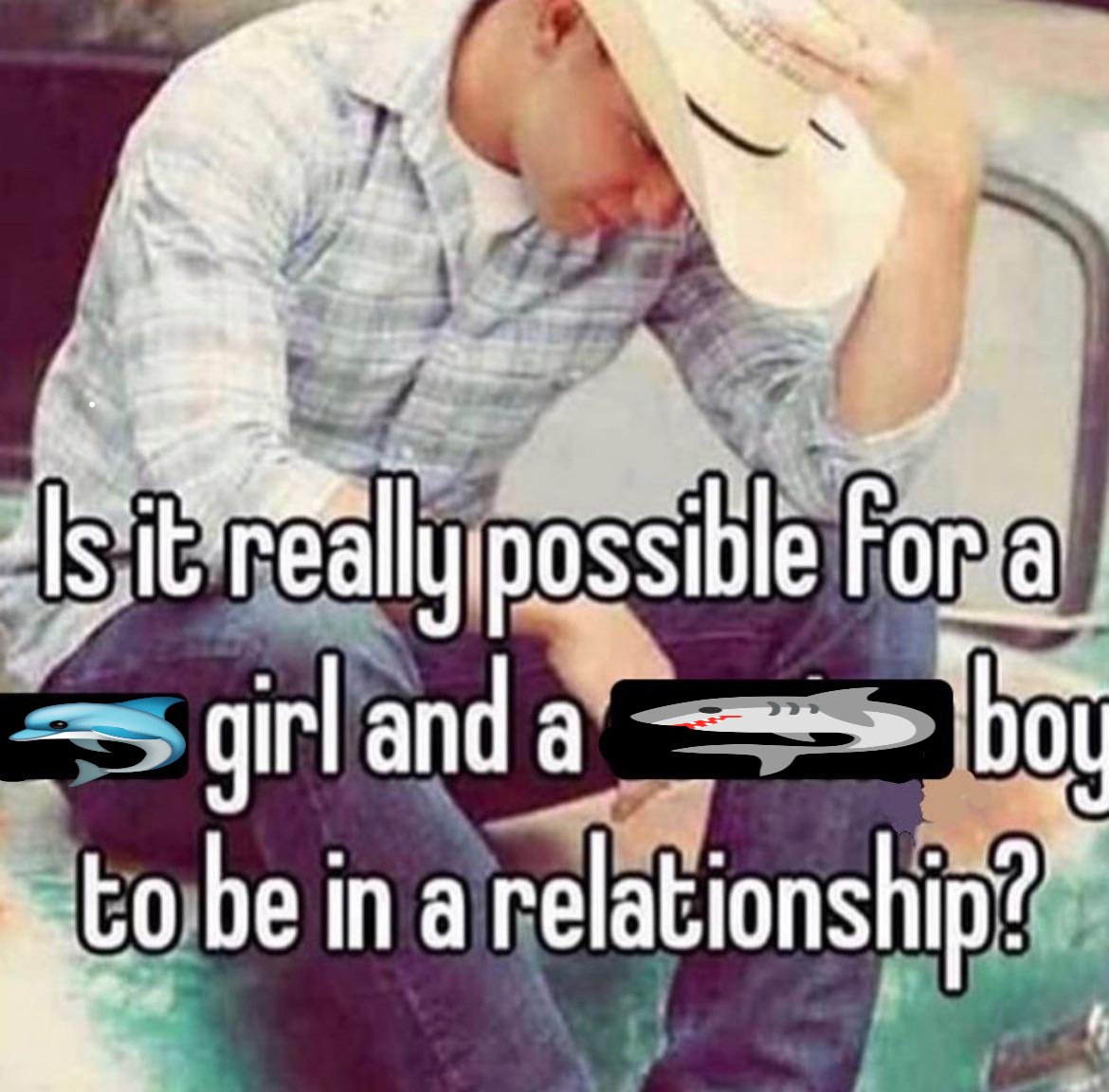 🐬Doppy C0MMS OPEN on Twitter: "@zzzHADOzzz Why must we keep fighting https://t.co/SFykweYwCW ...