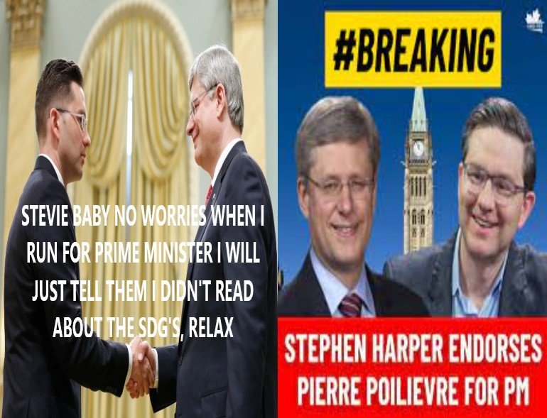 Pickles on Twitter: "RT @tr6_guy: Pierre PoiLIEvre's been in Parliament since 2004. You'd think ...