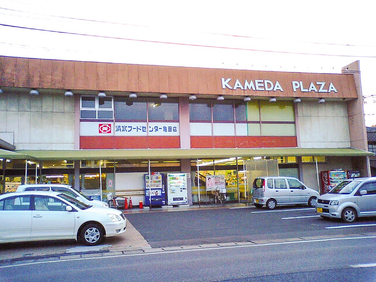 j-rakuda on Twitter: "清水フードセンター亀田店。2008年に不採算9店舗の閉鎖対象に含まれ閉店。亀田本町商店街の亀田プラザ内で営業。ピーク時の亀田プラザは清水フード ...
