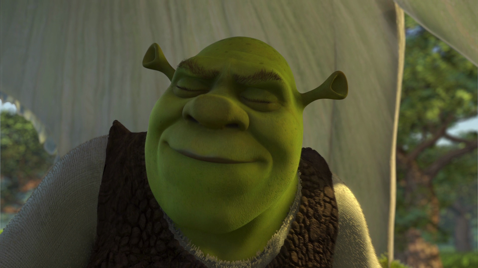 Shrek Angry Face