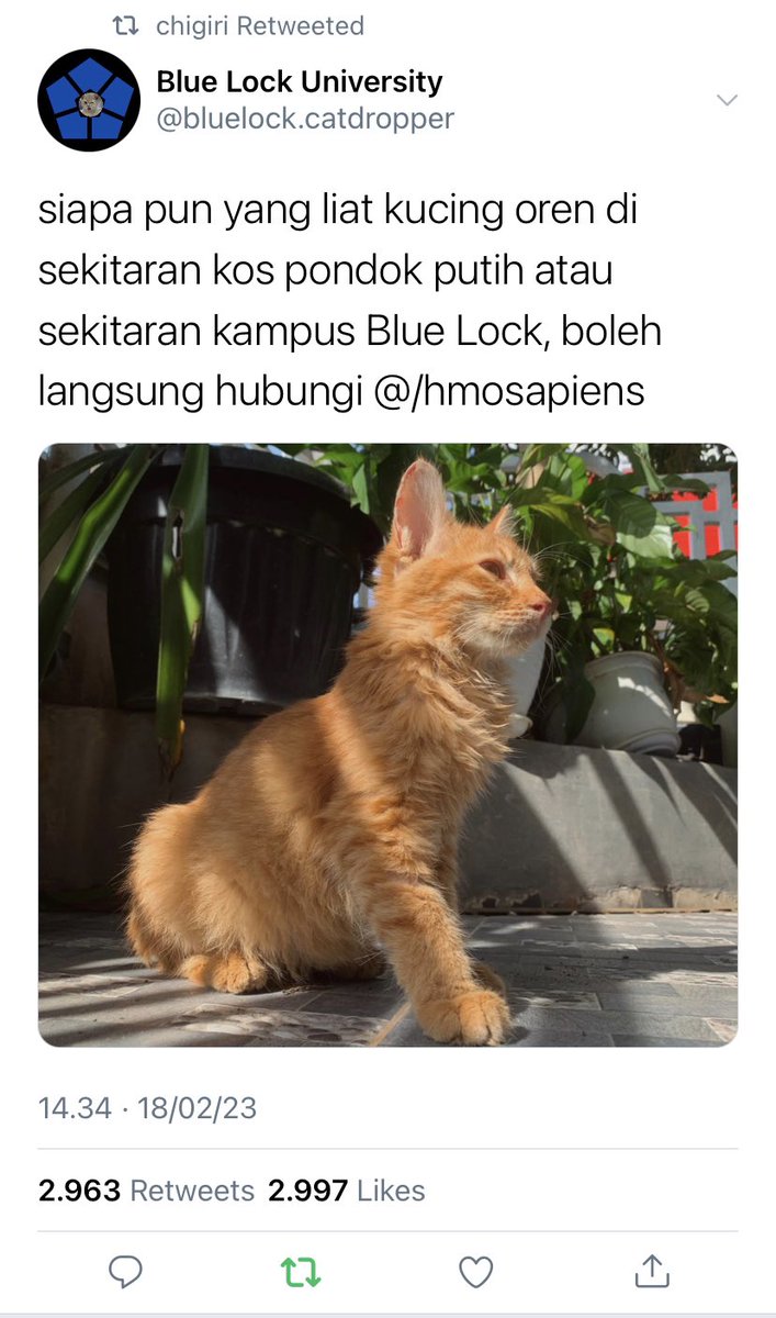 BLUELOCKFESS ON 📩 on Twitter: "-bllkarya SPOILER cw // m x m pair // kunigiri // kunigami x ...