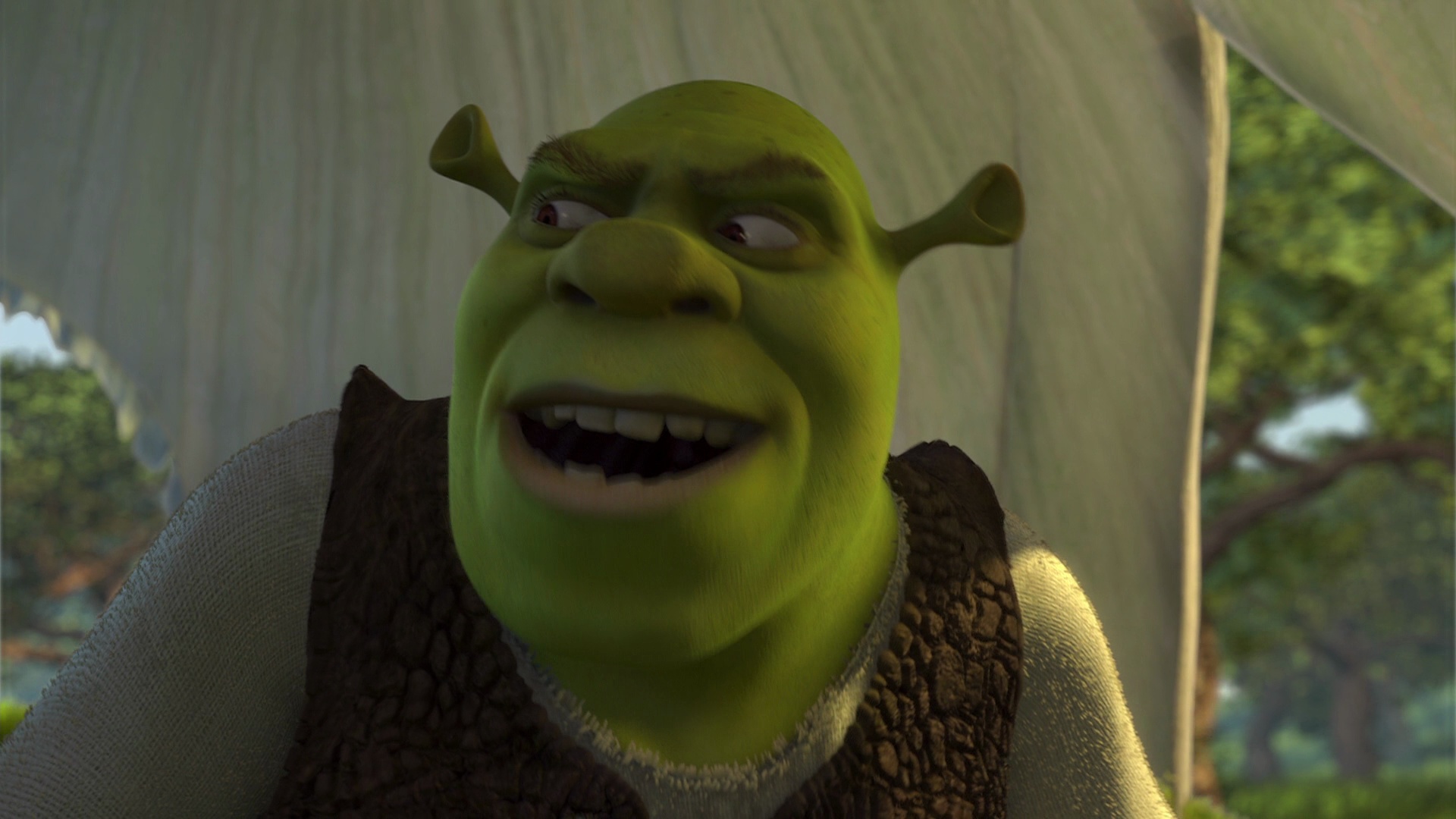 Shrek Mad