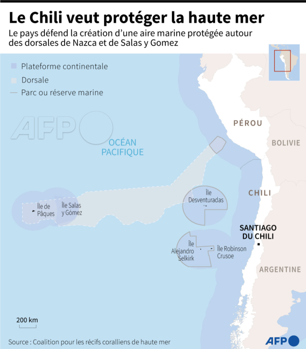 Agence France Presse On Twitter 🇨🇱 La Mer Dune Incroyable Richesse