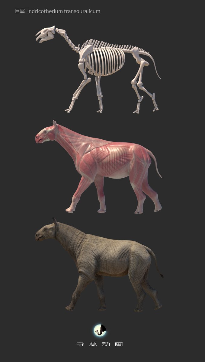 Wenyu Ren (@ren_wenyu) さんのイラスト・マンガ作品まとめ (24 件) - Twoucan