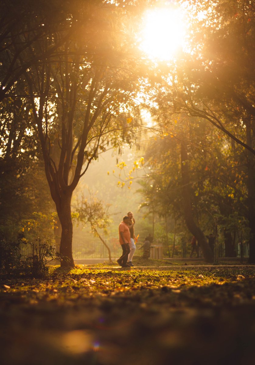 Prem Pradeep on Twitter: "Cubbon Park mornings"