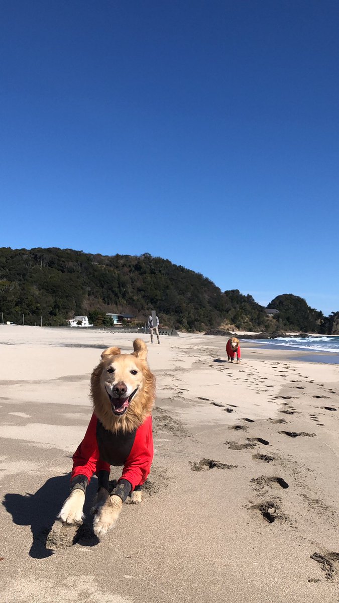 Ryoko On Twitter そんな事(どんな事や)もあったけど、別に恨んでもいないし今、楽しく暮らしてるから大丈夫。人生楽しむのだ。