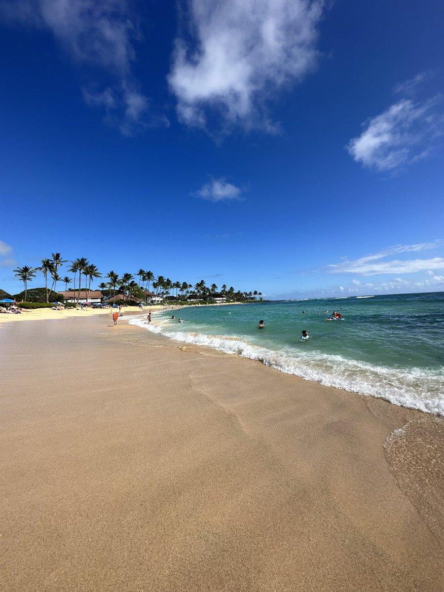 Patches O’Houlihan on Twitter: "Humuhumunukunukuapua'a. Yeah bitch"