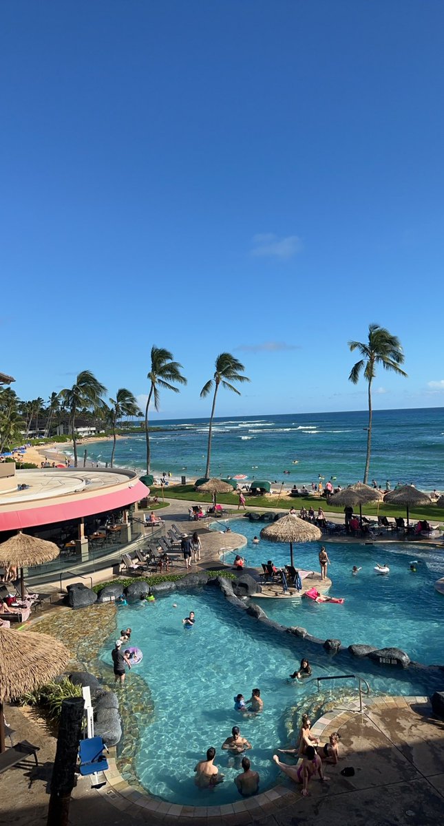 Patches O’Houlihan on Twitter: "Humuhumunukunukuapua'a. Yeah bitch"