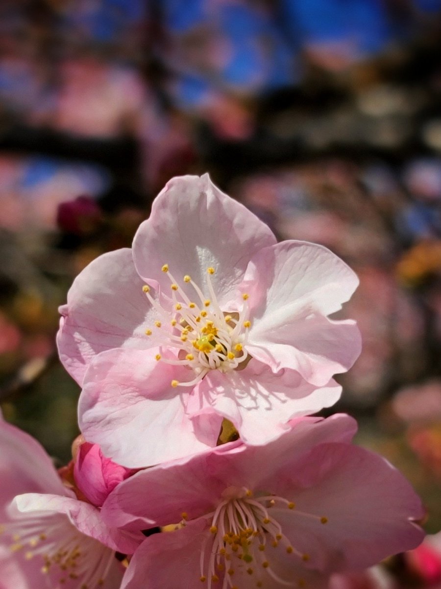 キタキツネ 🦊🆎♂️♎♨️🚭🍺(@kitakitune_007) - Twilog (ツイログ)