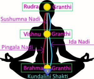 Kundalini and granthi Granthi is a Sanskrit term meaning "doubt" or ...