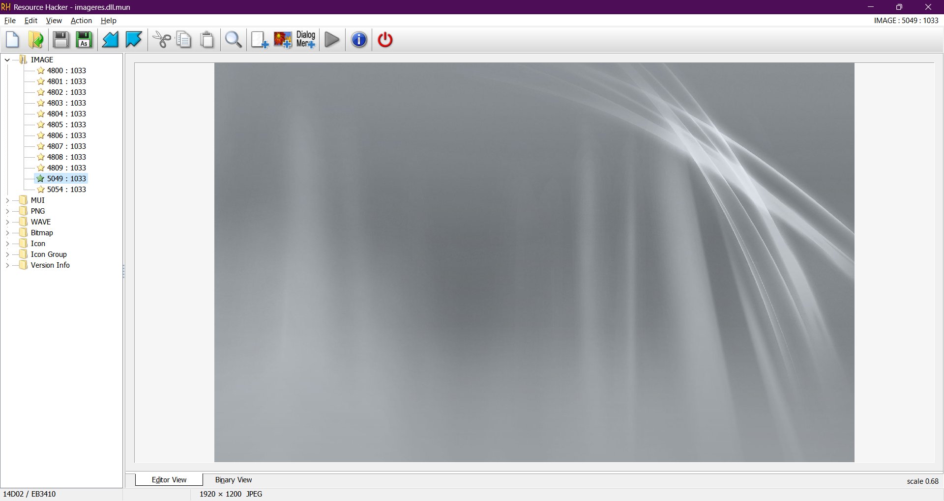 Windows Server 2008 Icon