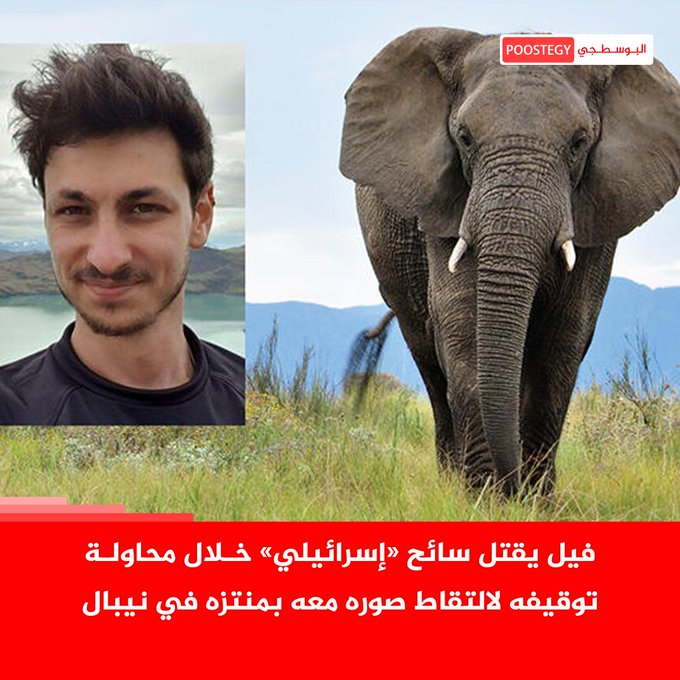 فيل يسحق إسرائيليا حتى الموت بينما كان يحاول أخذ سيلفي معه شاهد