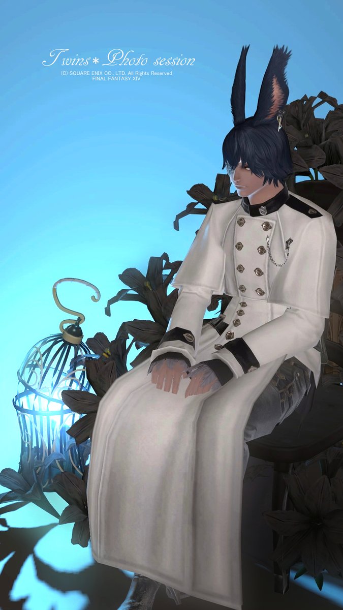 見きれるカイ |🐽˙) on Twitter: "🏠#studio_pyon 🐇#うさお #ヴィエラ #FF14"