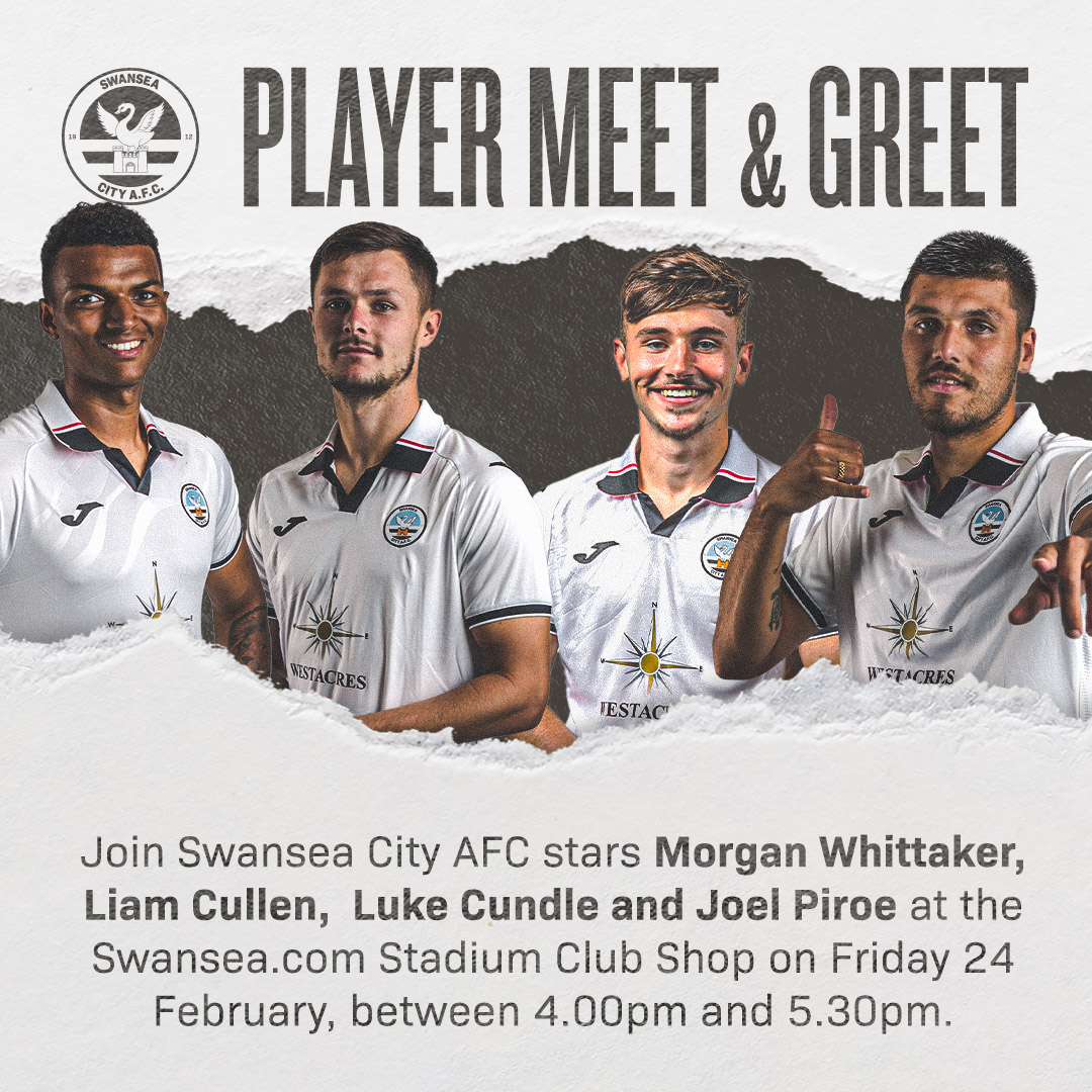 Swansea City Roster