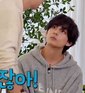 멍멍 (@tadano_innu) / Twitter