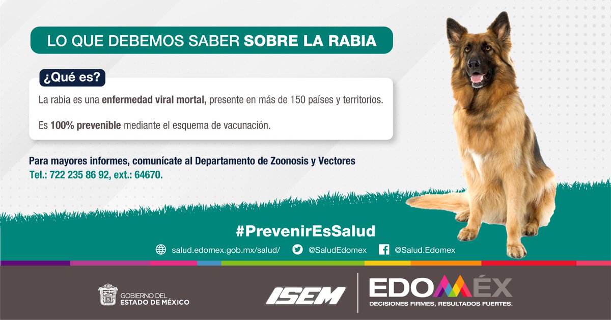 Secretaría de Salud del Estado de México on Twitter: "La #Rabia se transmite a las personas ...
