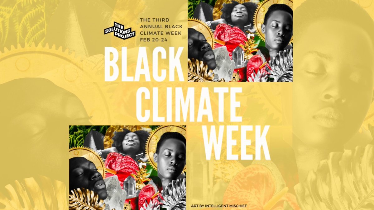 Mark Ruffalo on Twitter: "It’s #BlackClimateWeek with @100isnow and this year’s theme dissects ...