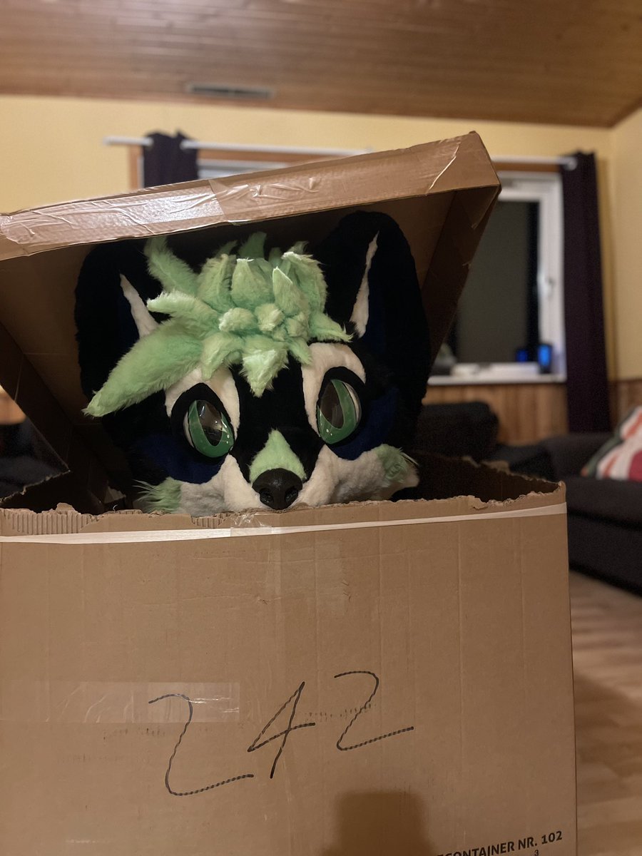 Calabi on Twitter: "RT @VinFurr: Time to get myself shipped to #NFC2023 @NordicFuzzCon! see you ...