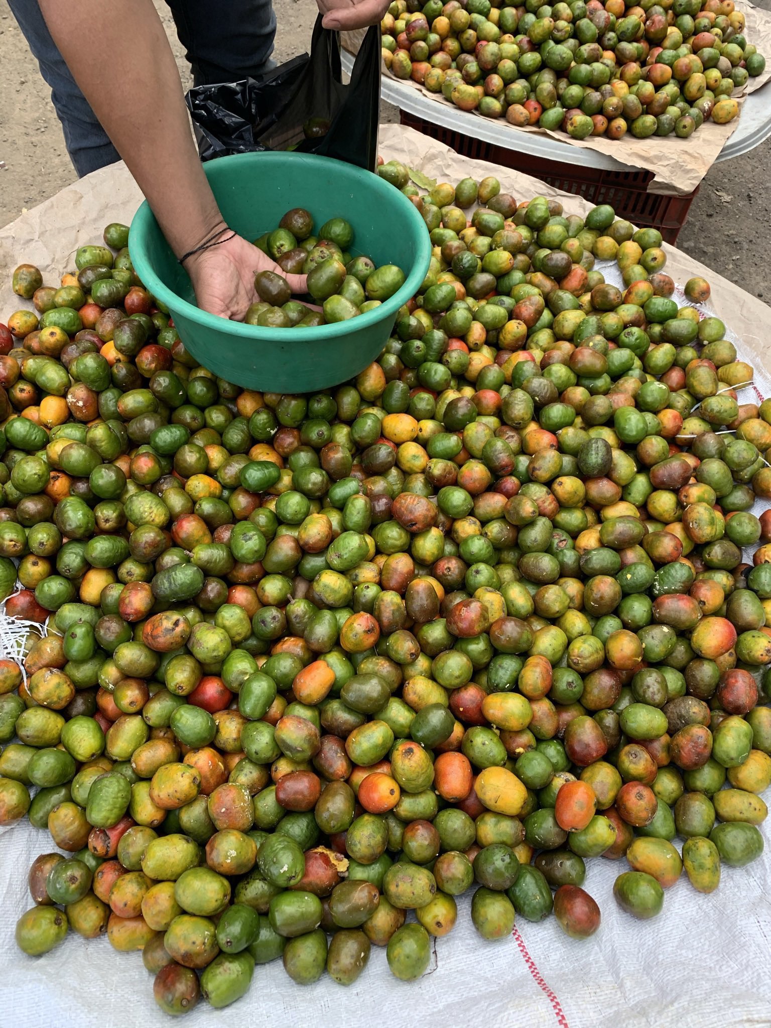 Jocotes Fruit