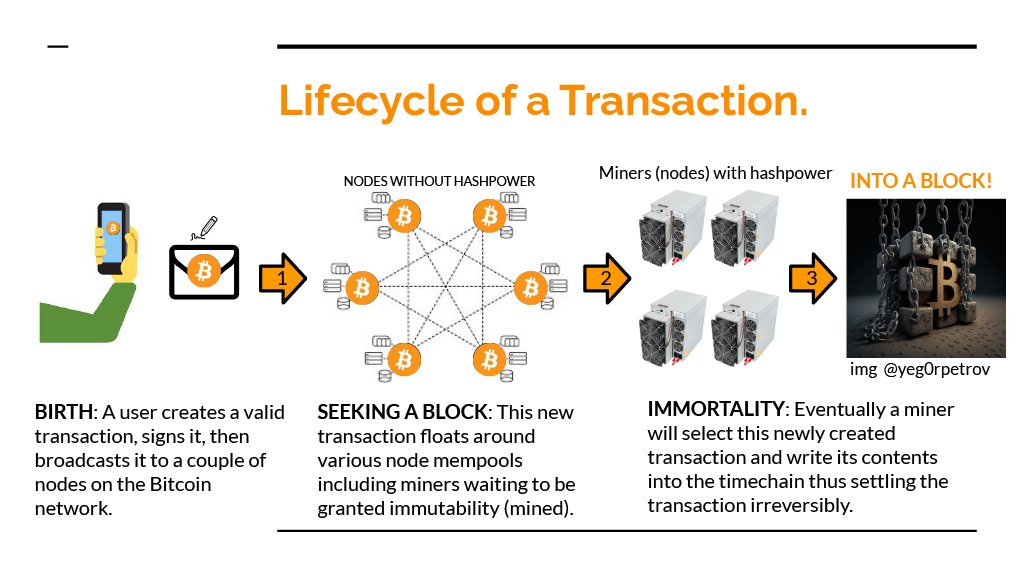 Basic Bitcoin Tech : Transactions and their anatomy. Guide slides and ...