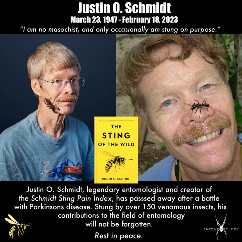 Record-breaking Scientist Who Devised Insect Sting Pain, 41% OFF