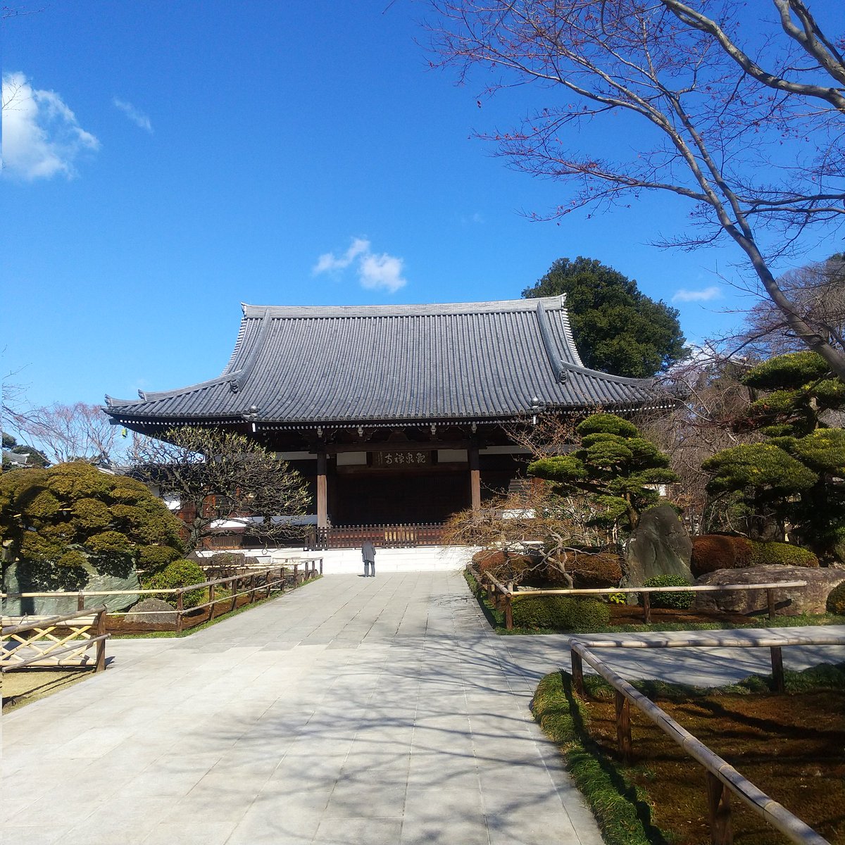 古書 西荻モンガ堂(@monga_book) - Twilog (ツイログ)