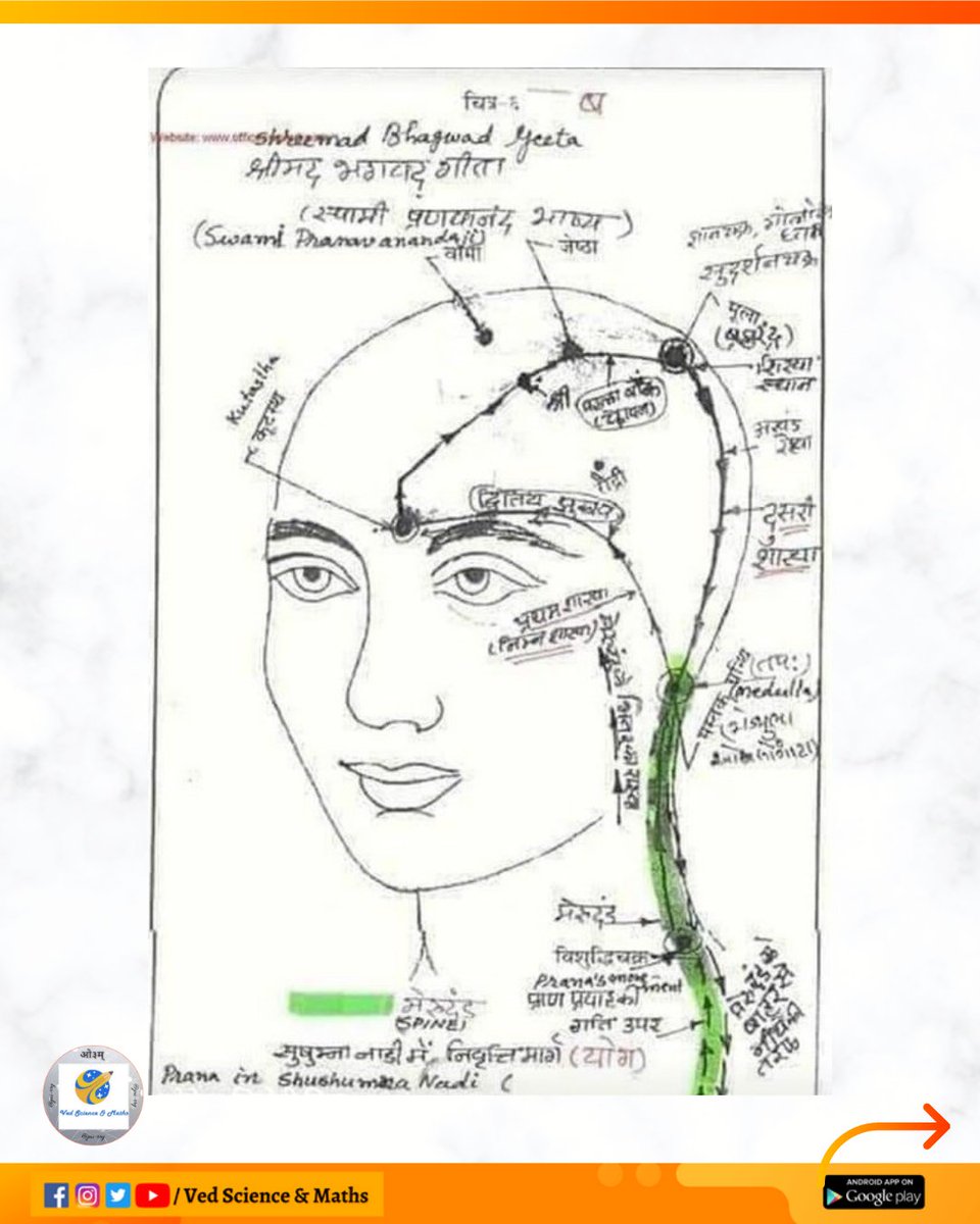 This body is the fort of the individual self upon which the flag of the ...