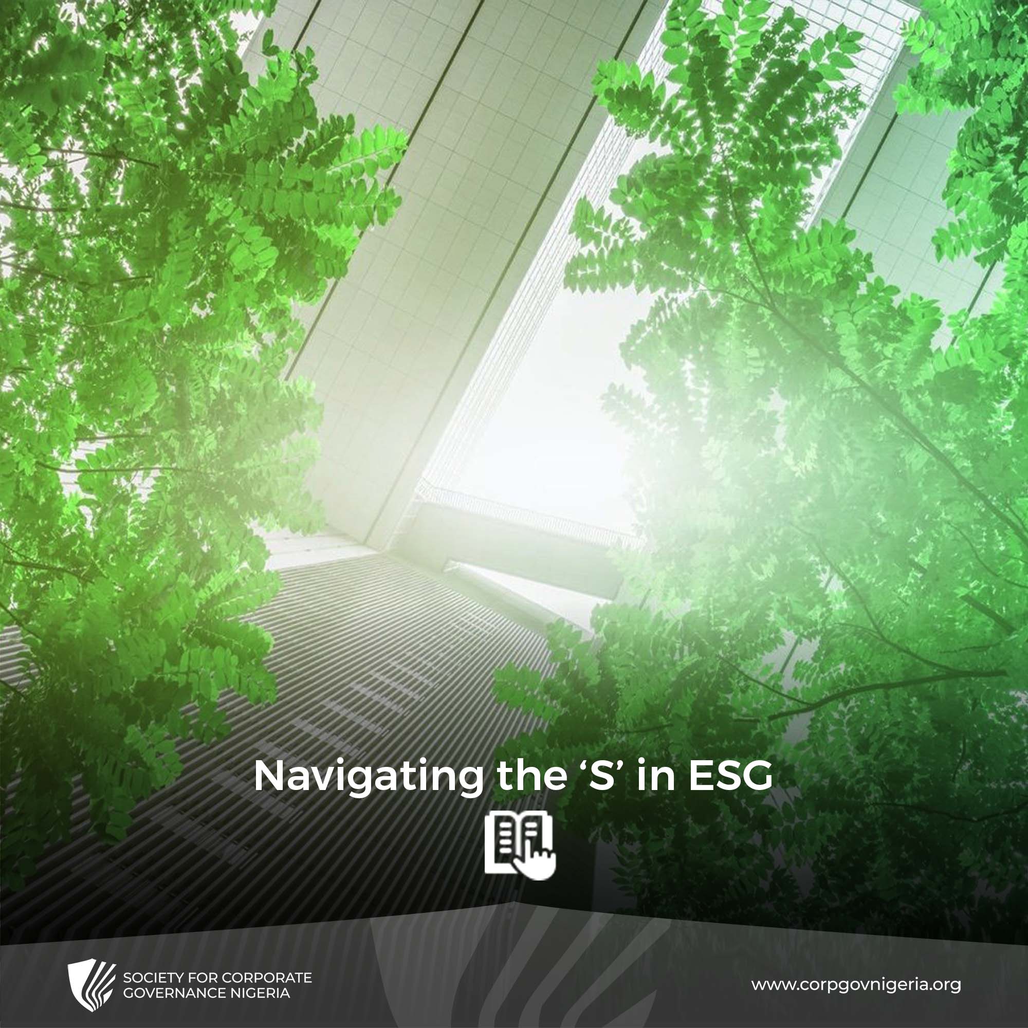 SCGNigeria on Twitter: "Navigating the ‘S’ in ESG Over the past few years, one acronym has been ...