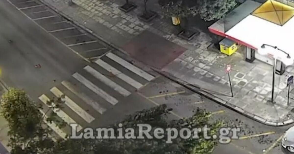 Cretalive.gr on Twitter: "Λαμία: Δέντρο έπεσε ξαφνικά στη μέση του δρόμου https://cretalive.gr ...