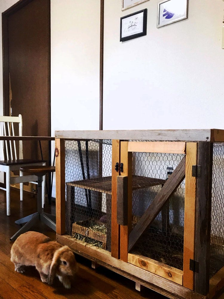 GINZA on Twitter: "おしゃれな部屋をSNAP📸植物や海のエネルギーを毎日取り入れて、自然と共に暮らすhttps://buff.ly/2KCBwLB"