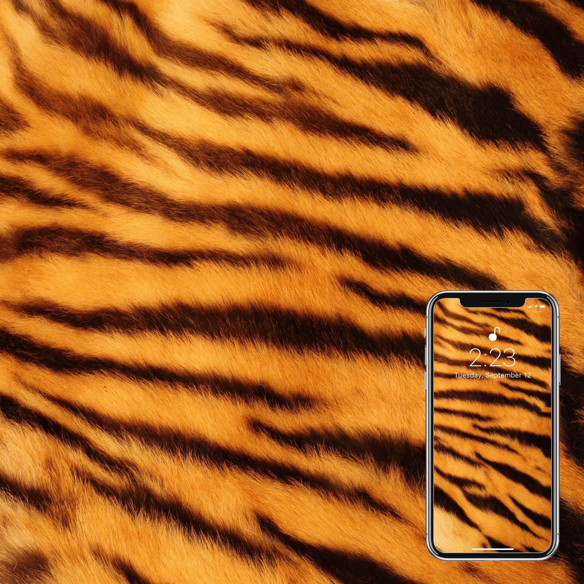 Tiger Skin Wallpaper Hd