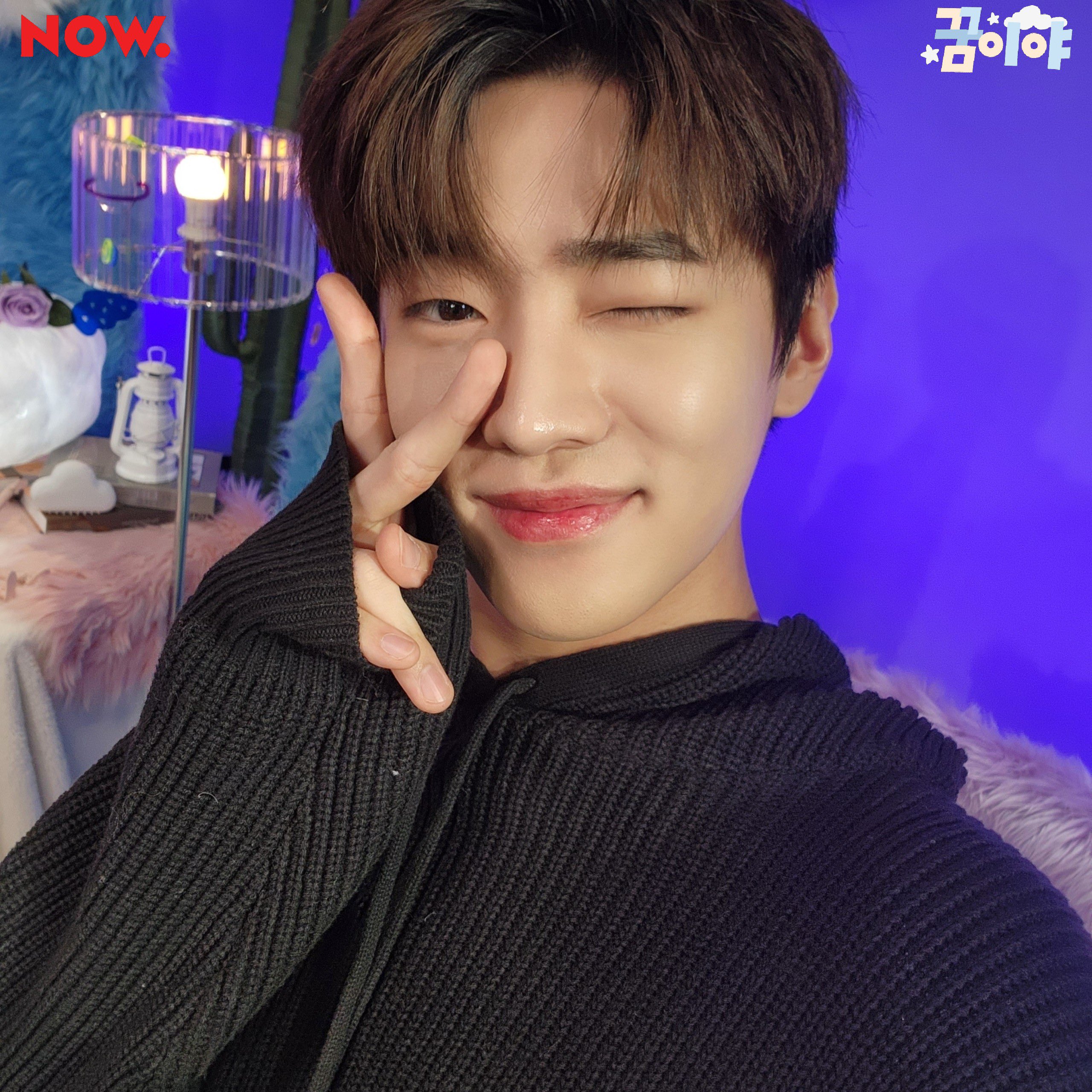 매일의 DKZ 코스요리 (@dkz_pasta) / Twitter