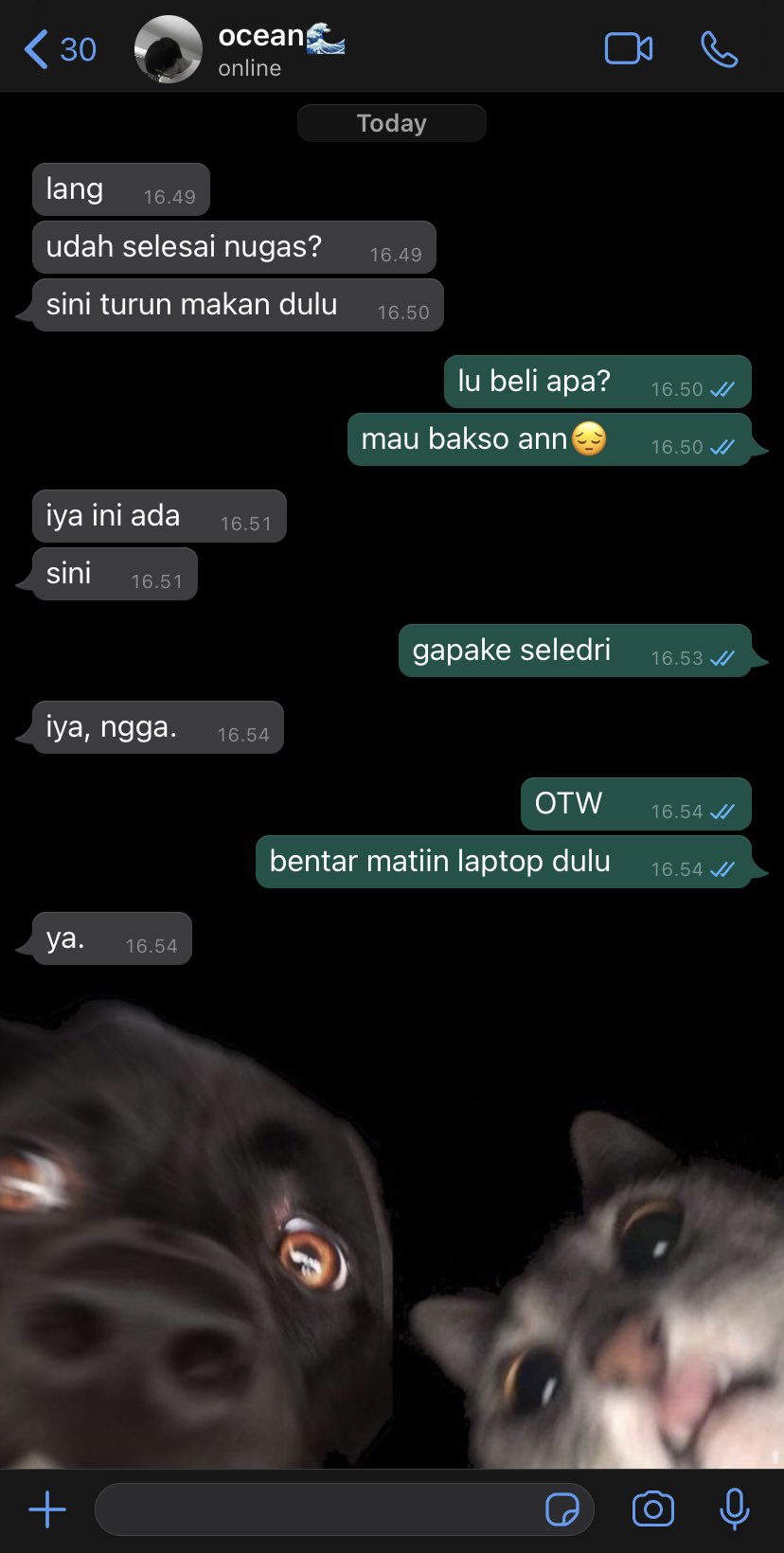 Enn on Twitter: "https://t.co/HvHHe4pZB7" / Twitter