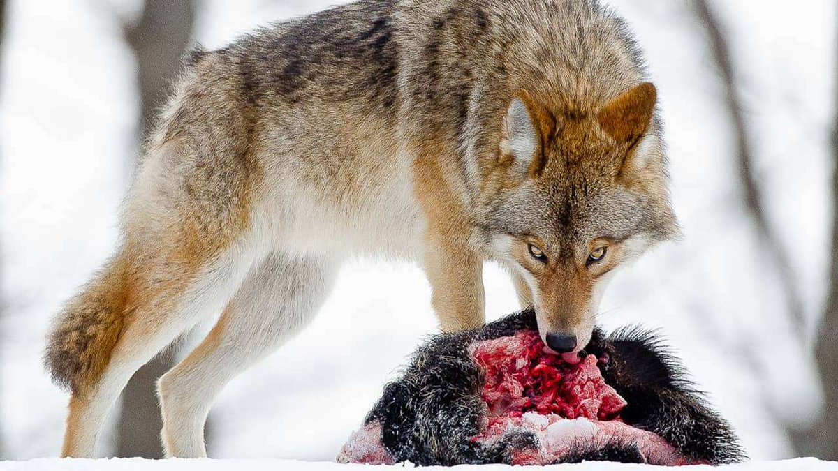 Heart & Soil Supplements's Threads – Thread Reader App