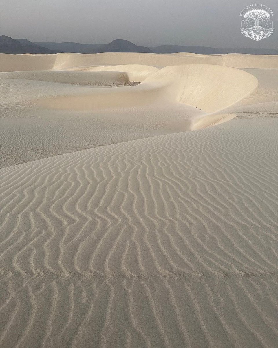 ميمي on Twitter: "RT @arab11__: Socotra Island, Yemen"