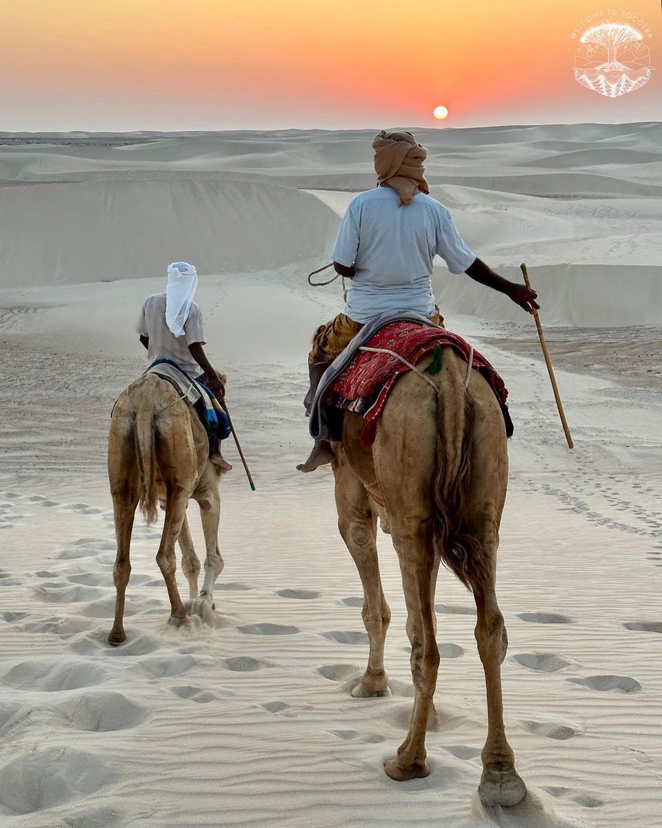 ميمي on Twitter: "RT @arab11__: Socotra Island, Yemen"