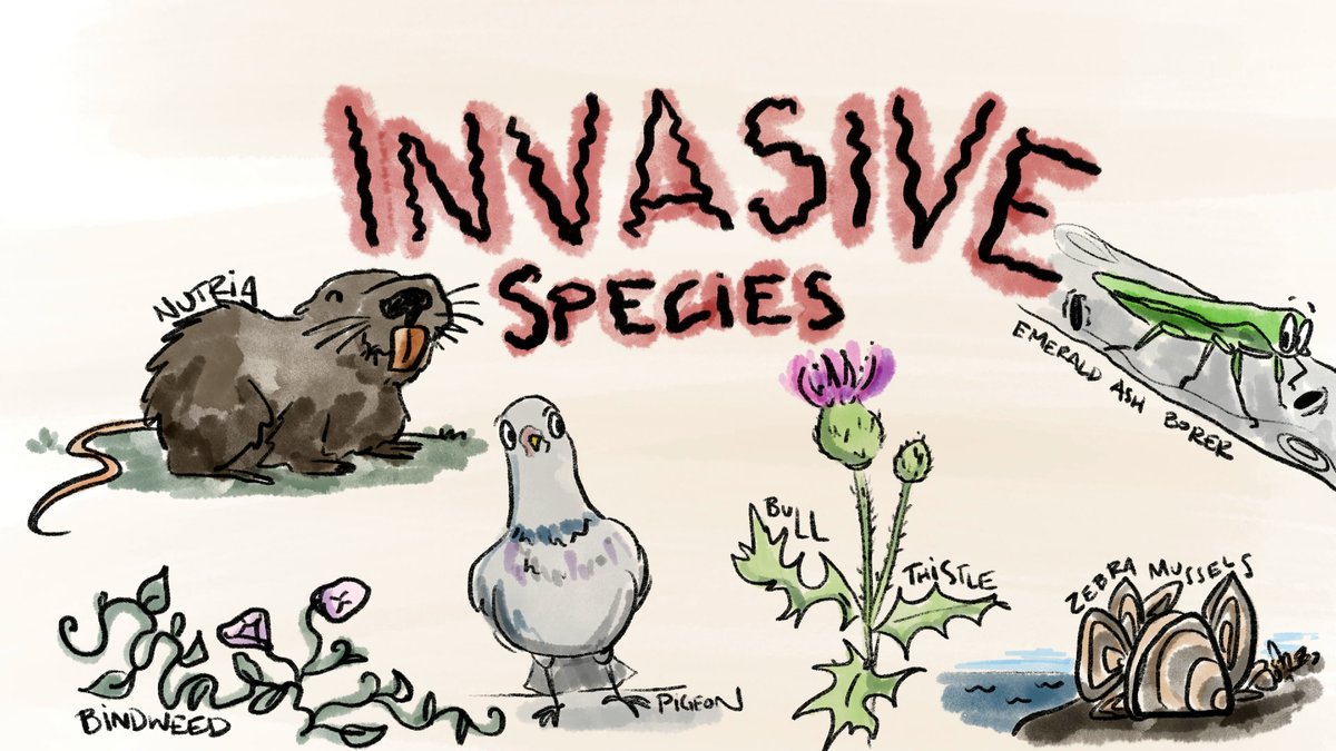 Explore Nature on Twitter: Explore Nature on Twitter: