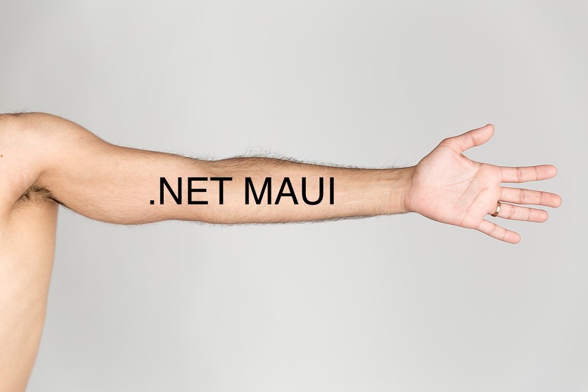 Gerald Versluis on Twitter: "@mallibone .NET MAUI on ARM 🥁 https://t.co/S80FLdfqZm" / Twitter
