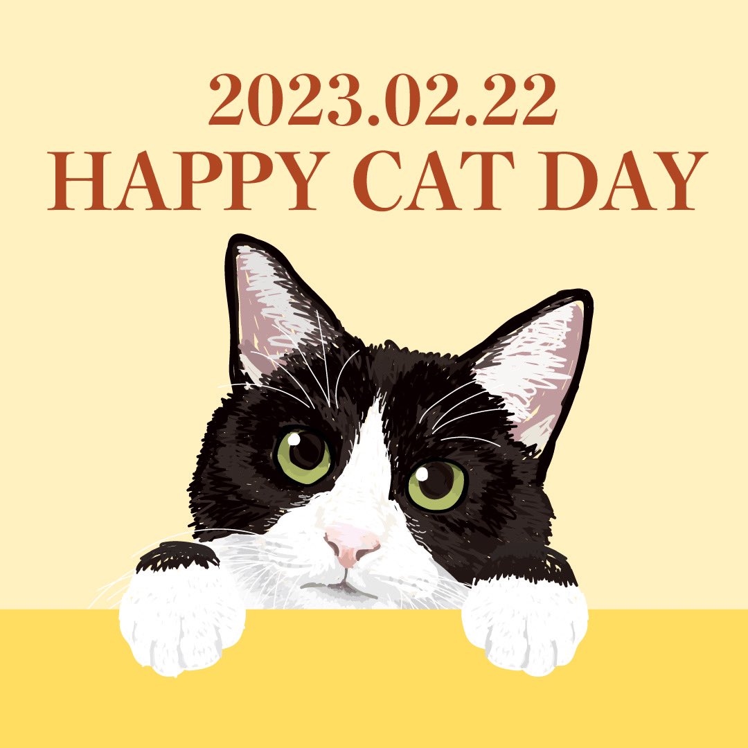 Coony｜クーニー_猫専門イラストレーター (@Coony_illust) さんのイラスト・マンガ作品まとめ (6 件) - Twoucan