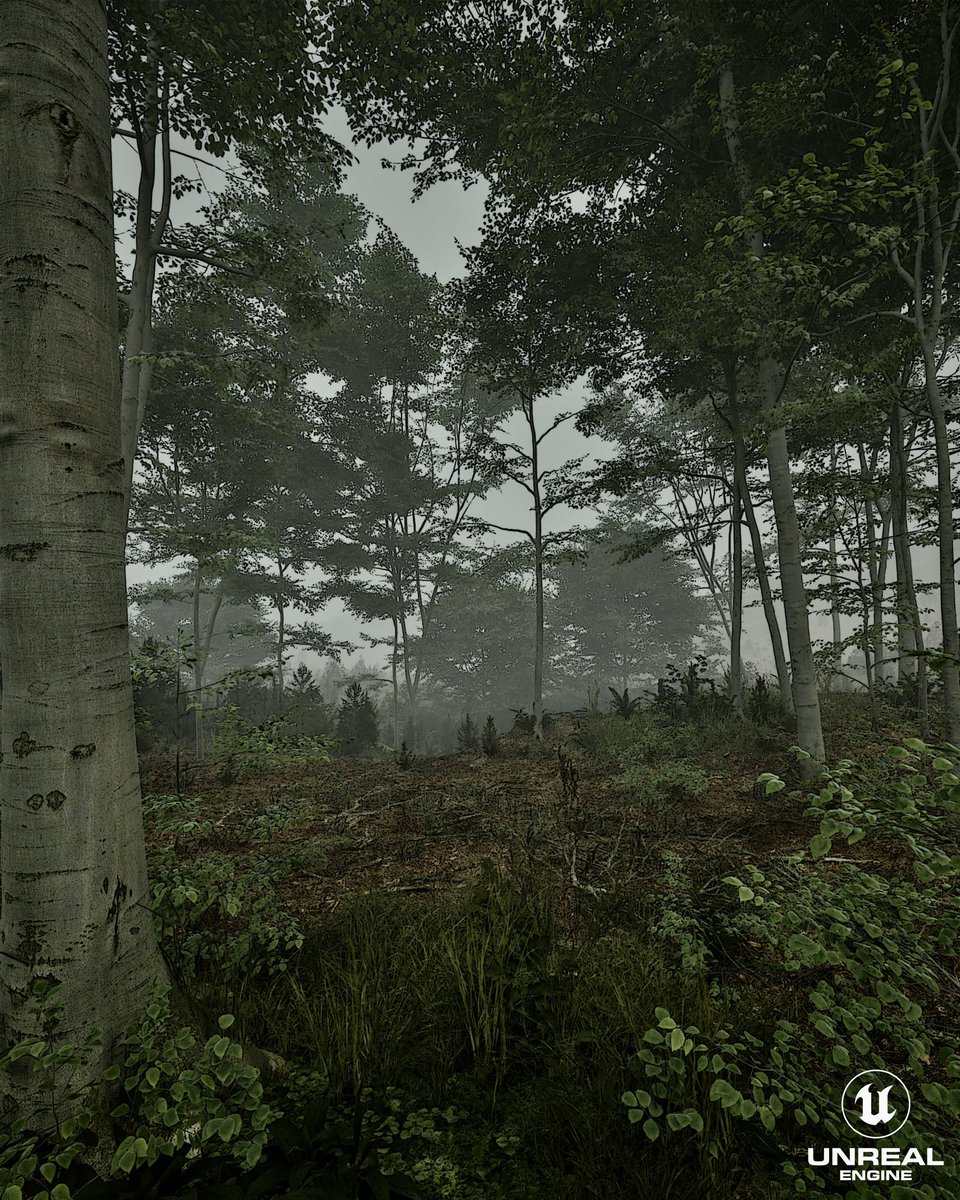 Testing new Quixel trees European Beech #8k Nanite makes them come ...