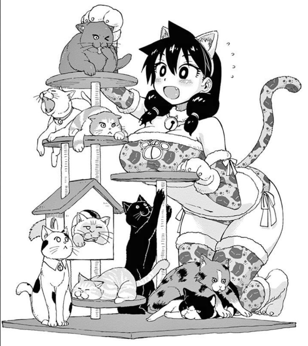 しろまゆ 3月16日~3月26日に〈大怪店〉様で【シロ・マユワフテン】怪催👻 On Twitter Rt Nekomega 猫の日