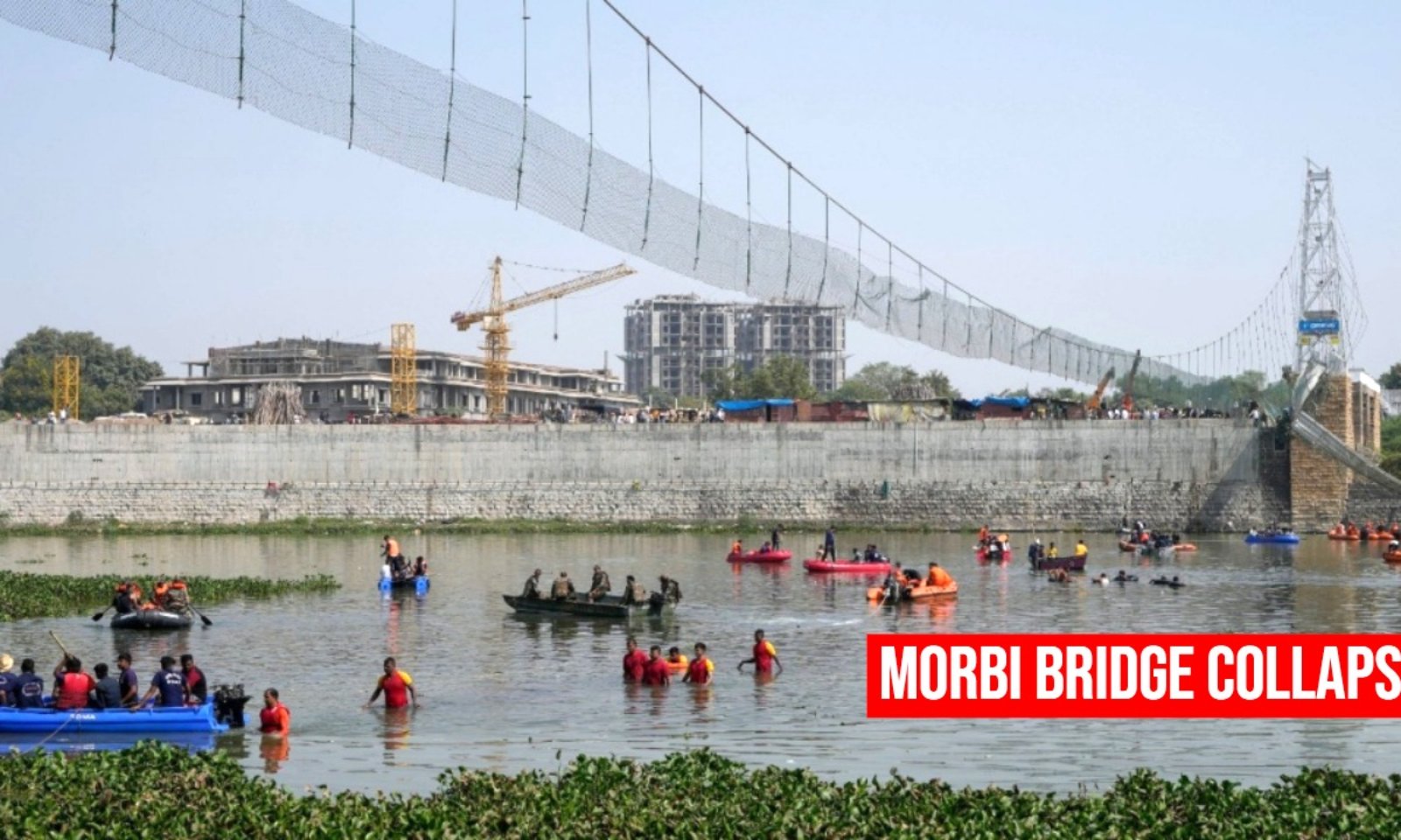 Live Law on Twitter: "The Gujarat High Court begins hearing suo motu PIL plea initiated over the ...