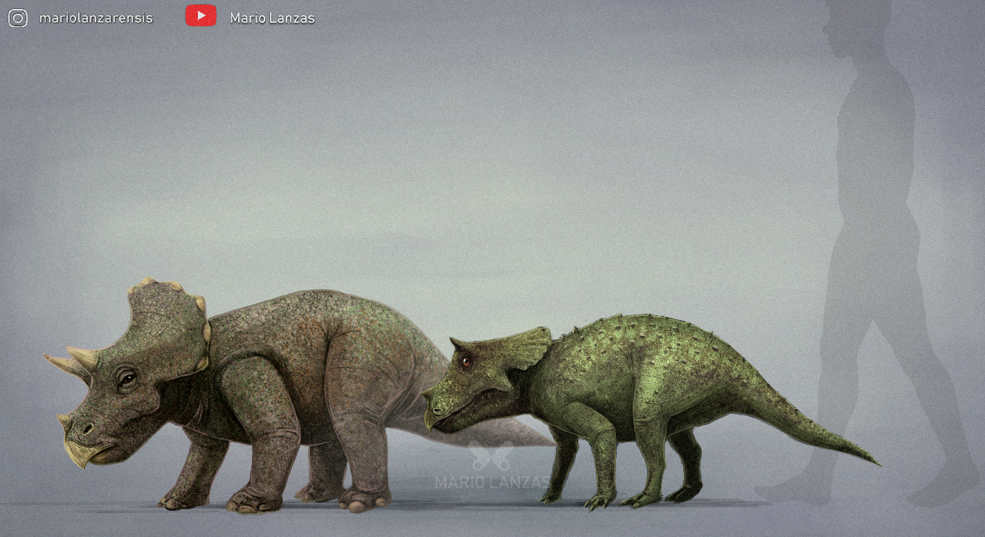 Baby Triceratops Jurassic Park