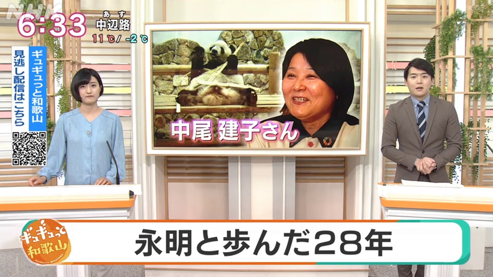NHK和歌山放送局 on Twitter: "中国へ旅立った3頭のパンダ🐼 #永明 の来園当初から獣医師としてパンダの世話をしてきた #アドベンチャーワールド 副園長の中尾建子さんに、永明と ...