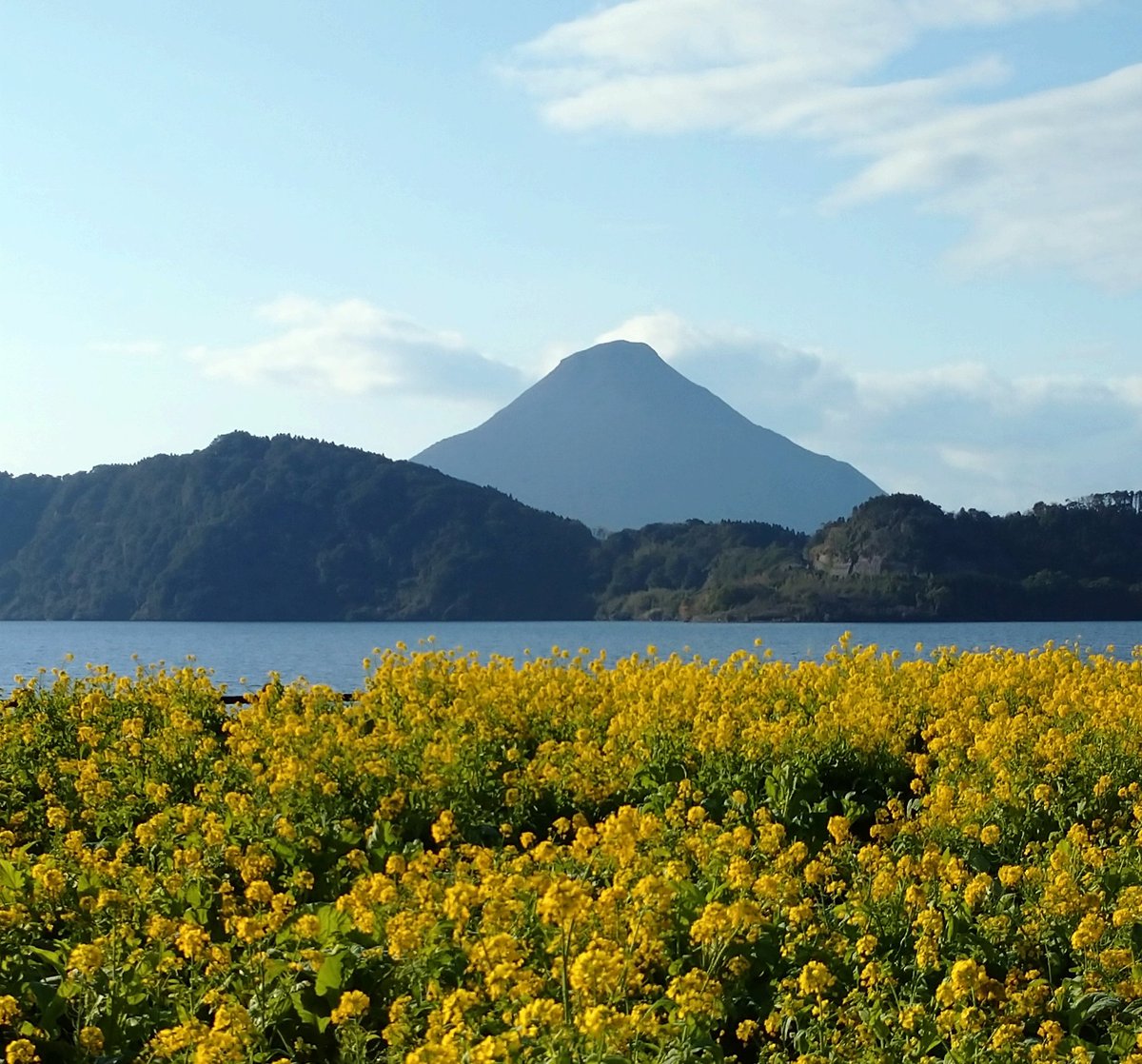 宵月夜の蟹(@lost_zero_) - Twilog (ツイログ)