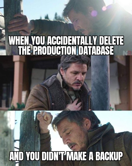 Drop Database Memes Amazon.com: Funny SQL Programmer Database Admin
